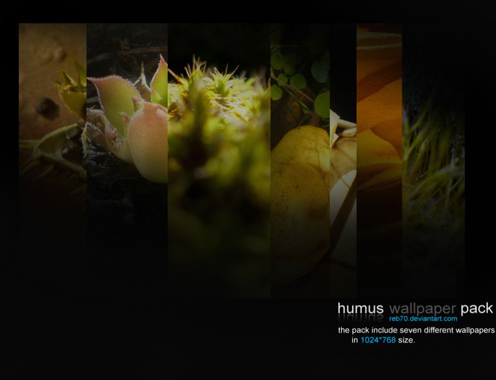 Winter Sunset Wallpaper HD 4k - Skin Pack for Windows 11 and 10