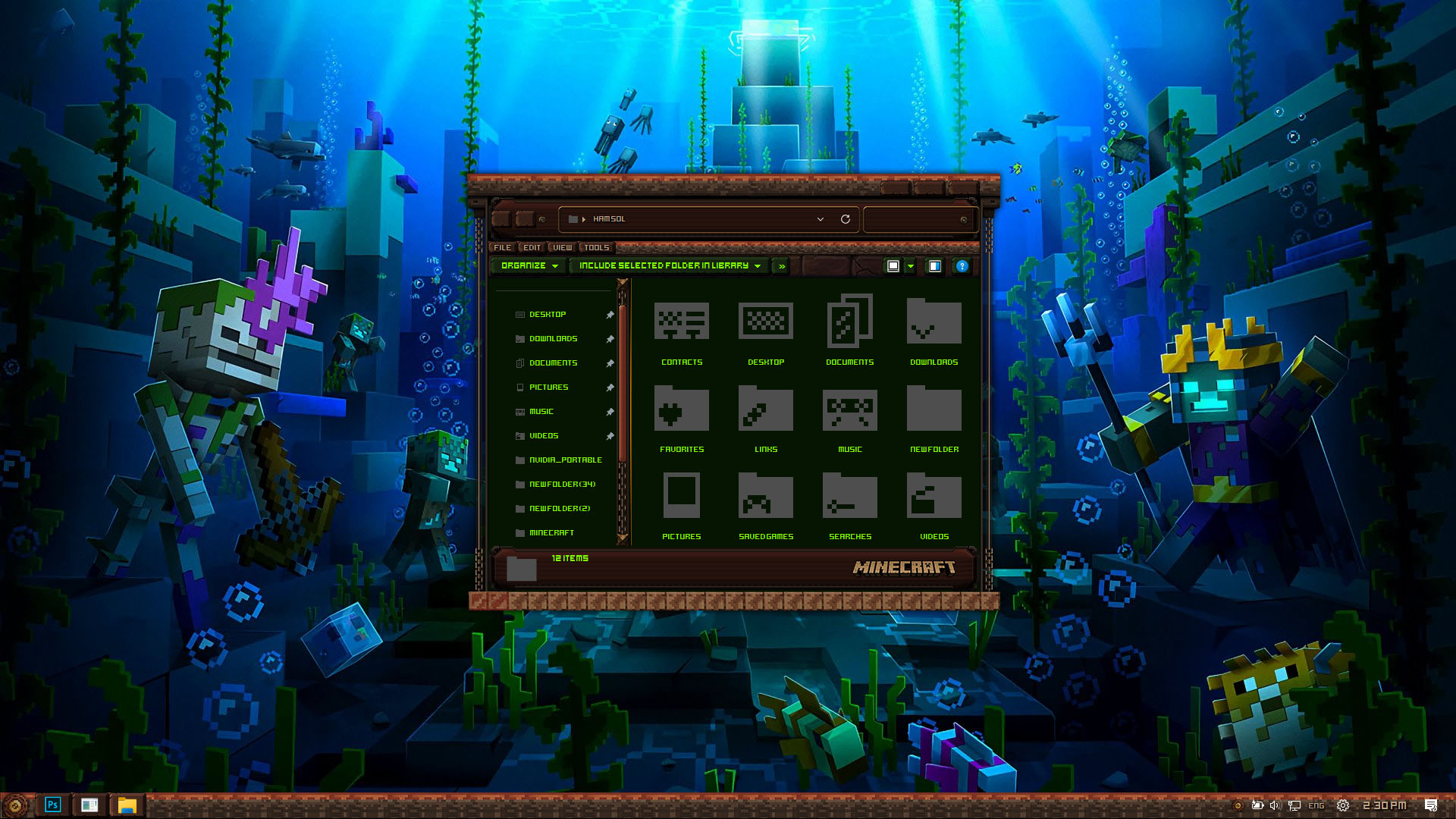 MINECRAFT Premium SkinPack for WindowBlinds - SkinPack