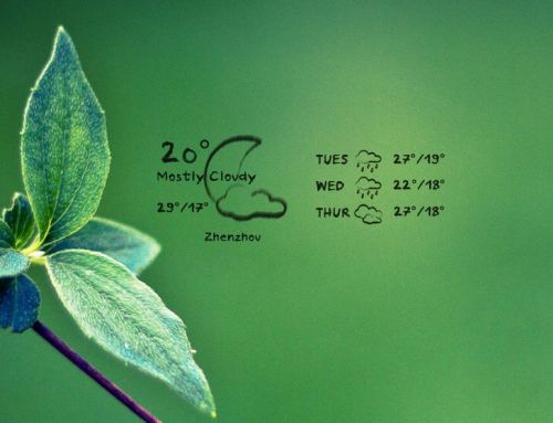 SkinPackTheme for WindowsMonthly Calendar for Rainmeter