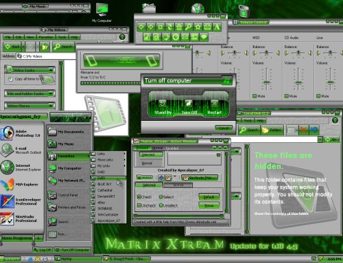 Solo Leveling Theme Packages - SkinPack